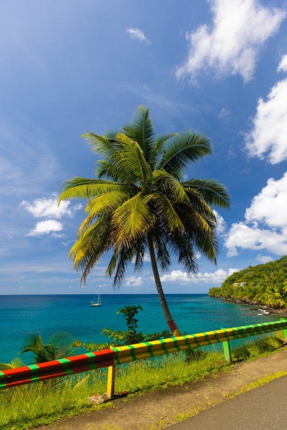 Delicious Paths to Wellness on Grenada, Spice Island | Wander